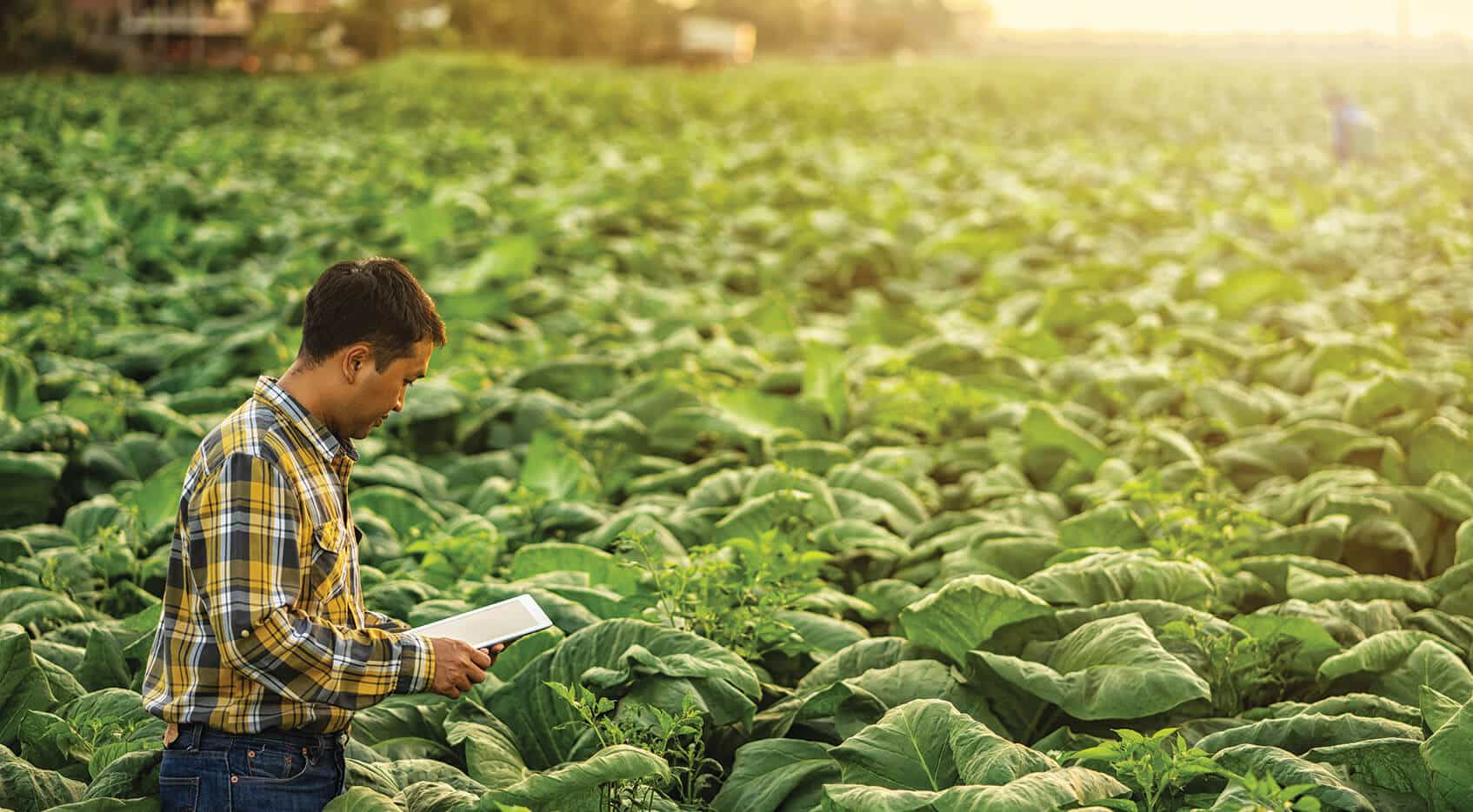 Horticare Specialist In India | Jivagro